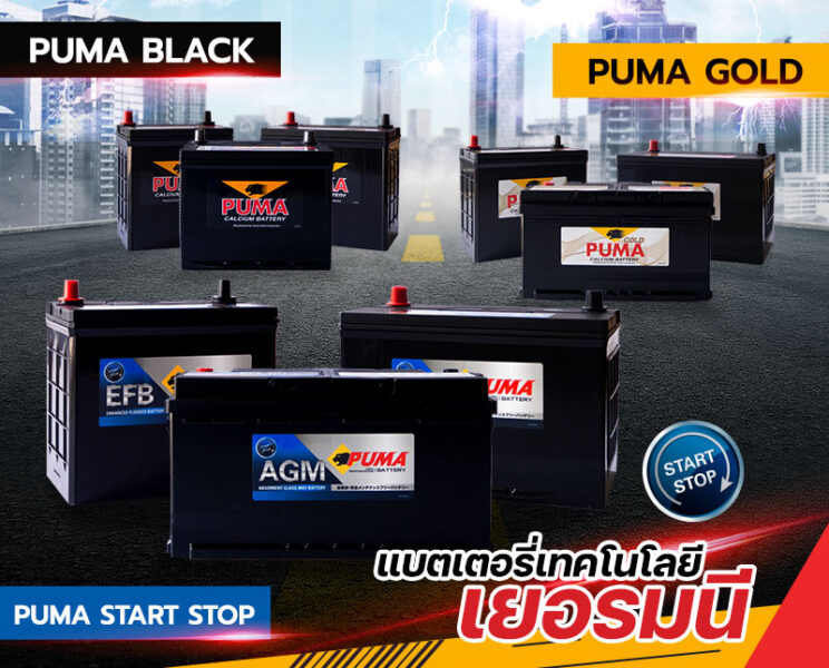 แบตเตอรี่รถยนต์ แบตเตอรี่ puma ผู้นำเข้าและจัดจำหน่าย puma battery